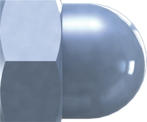 REISSER Hutmutter, M10, DIN 1587, SW17, 50 St